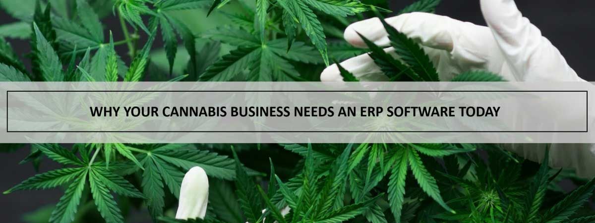Cannabis Software | Cannabis ERP | Bista Solutions